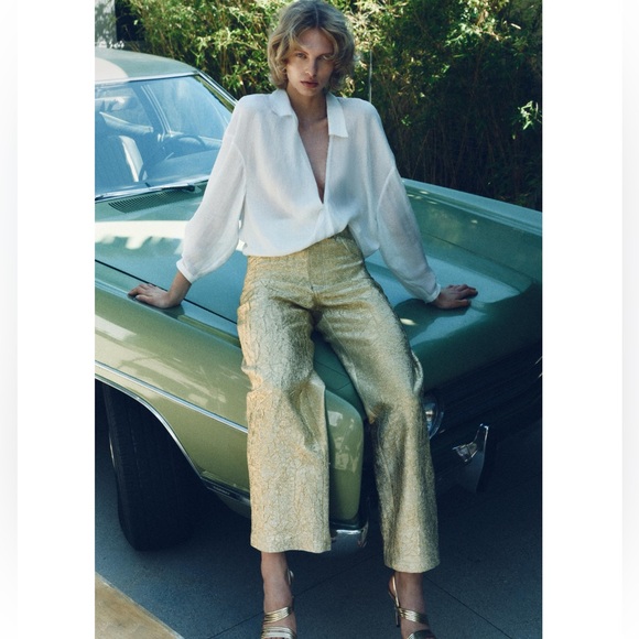 Zara | Pants & Jumpsuits | Zara Shiny Pants Zw Collection | Poshmark